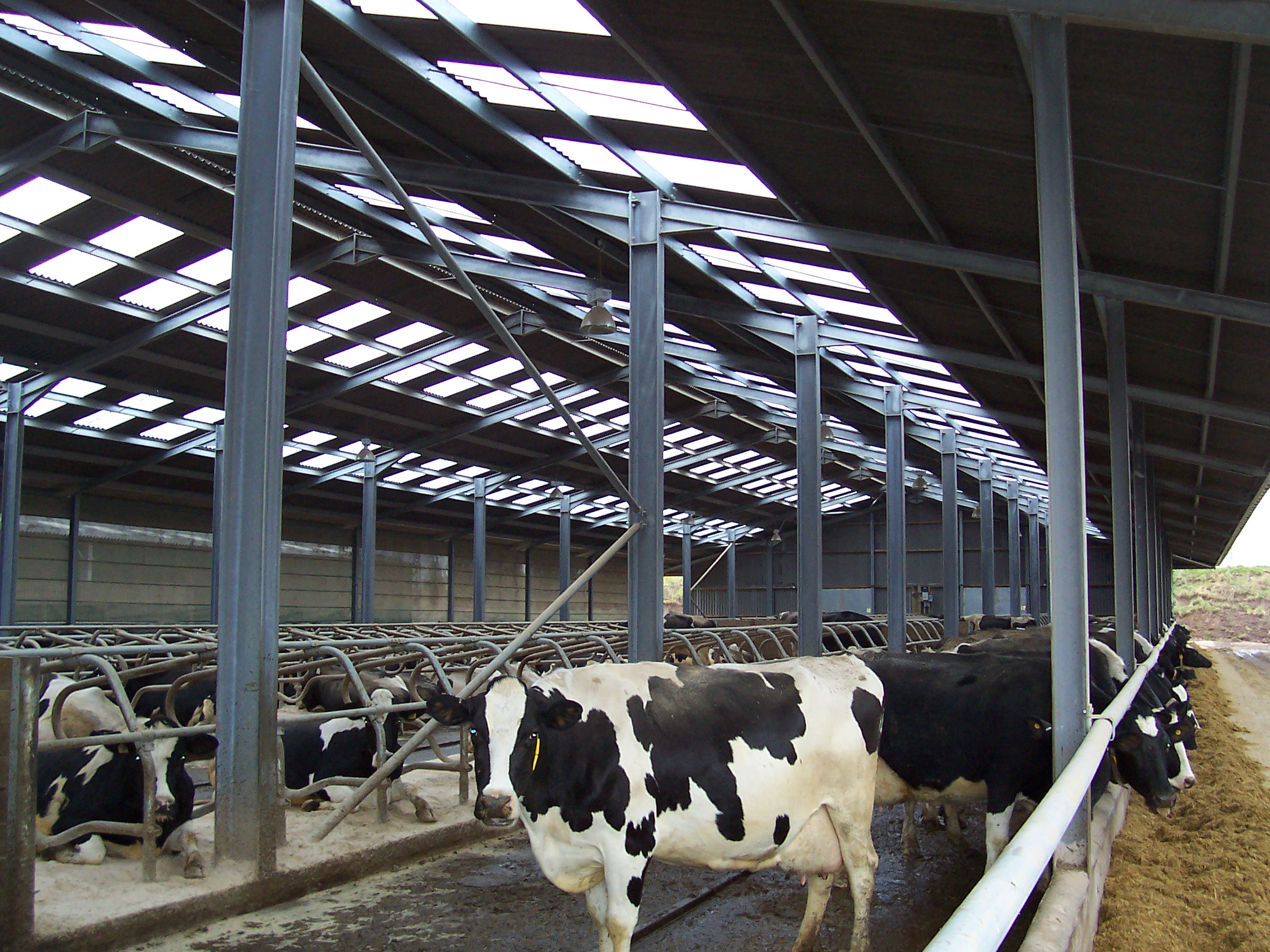 Livestock Internal – Browns of Wem Ltd
